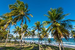 Discover Reserva Imbassaí